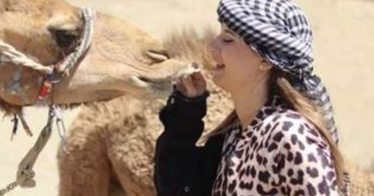 Khám phá sa mạc với TV Quad Safari, cưỡi lạc đà & tham quan làng Bedouin - Klook Việt Nam